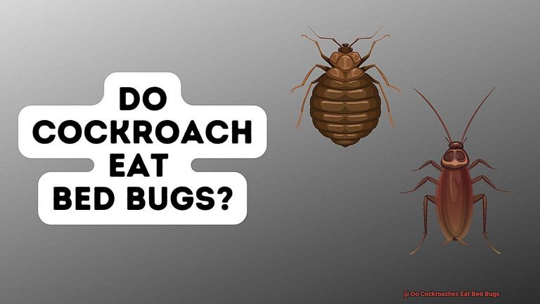 Do Cockroaches Eat Bed Bugs? - All About Roaches