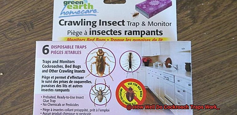 How Well Do Cockroach Traps Work_? - All About Roaches