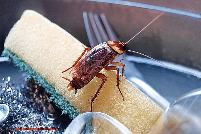 Why Do Cockroaches Exist? - All About Roaches