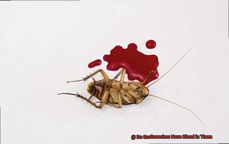 Do Cockroaches Have Blood in Them? - All About Roaches